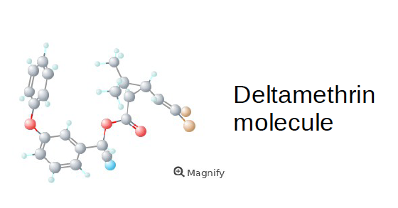 DeltaGard, deltamethrin | dontsprayme